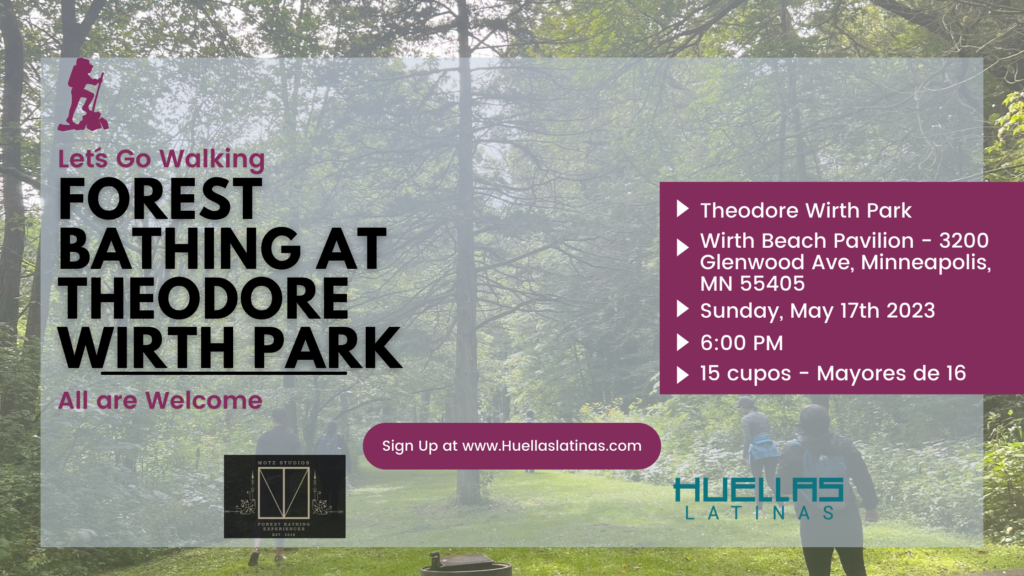 Forest Bathing at Theodore Wirth Park - Huellas Latinas