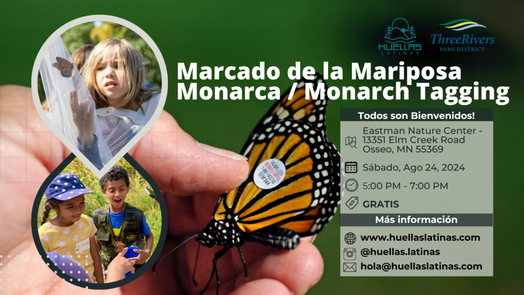Marcado de la Mariposa Monarca / Monarch Tagging - Huellas Latinas
